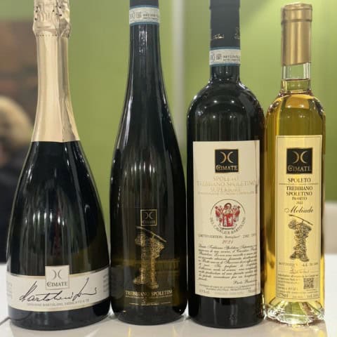 Exploring Italy's Indigenous Grapes - Wine Fogg